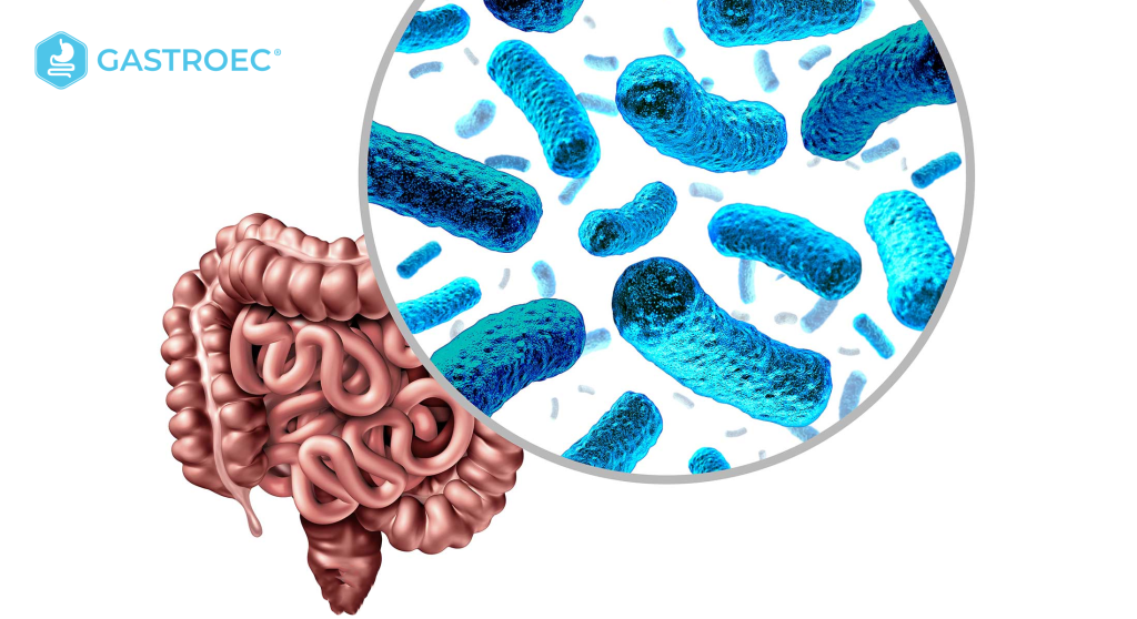 La microbiota intestinal 2025